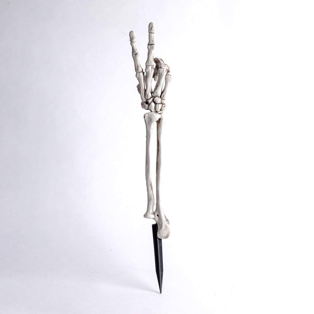 Frank & Mortis – MonkiToys Online